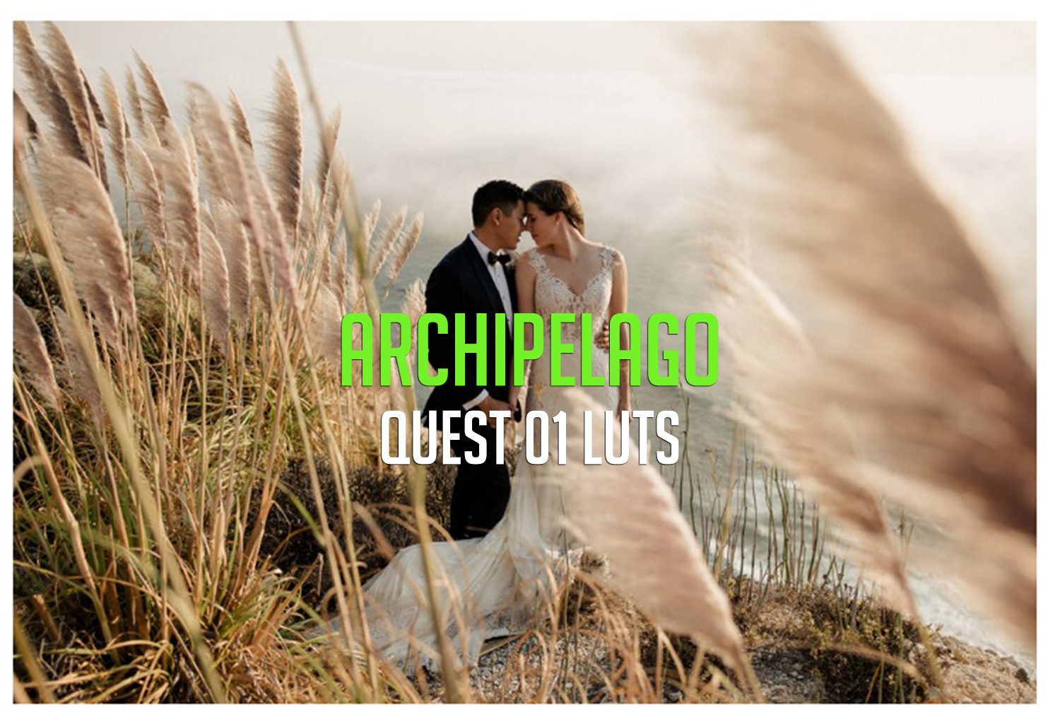 Free Luts | Color Grading LUTs