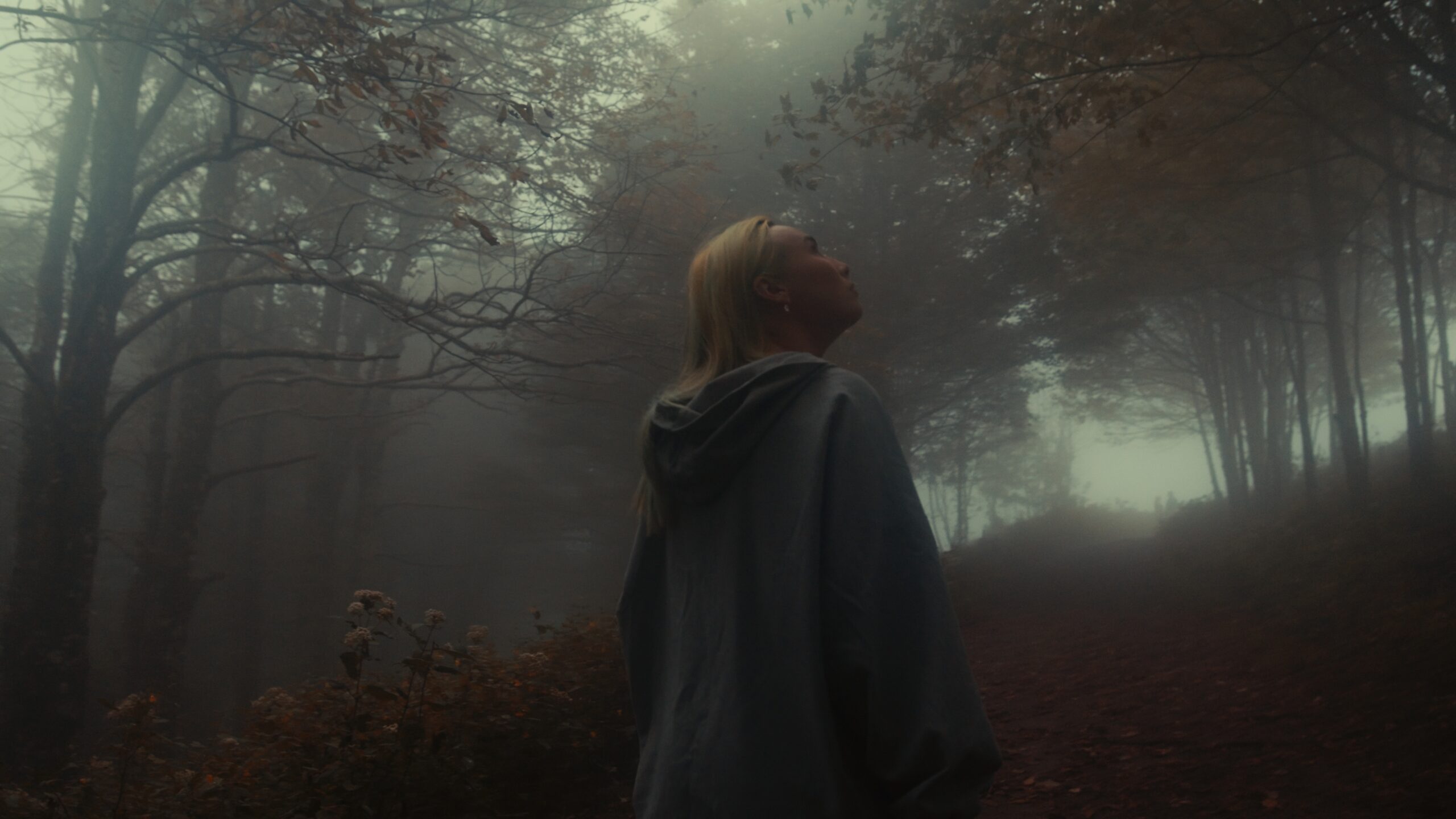 Kodak 2383 Inspired Cinematic LUTs | Color Grading LUTs